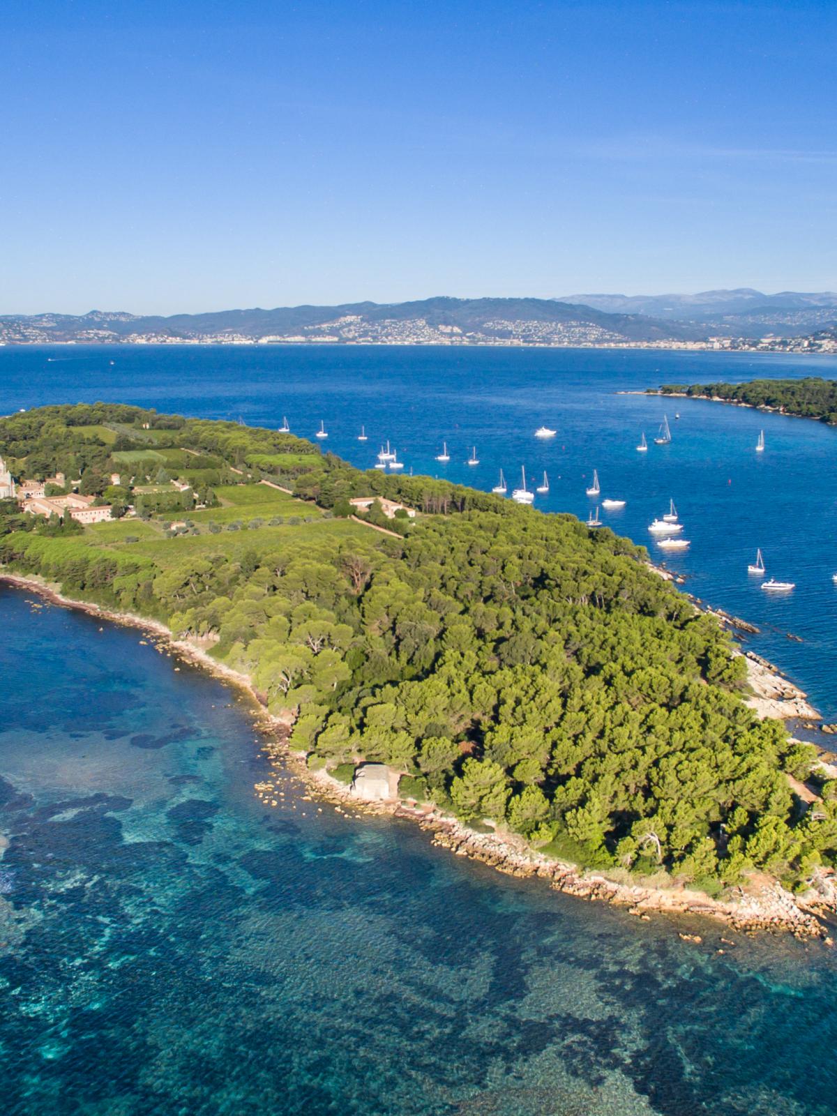 Cannes France, the official website of the Cannes Tourist Office ...