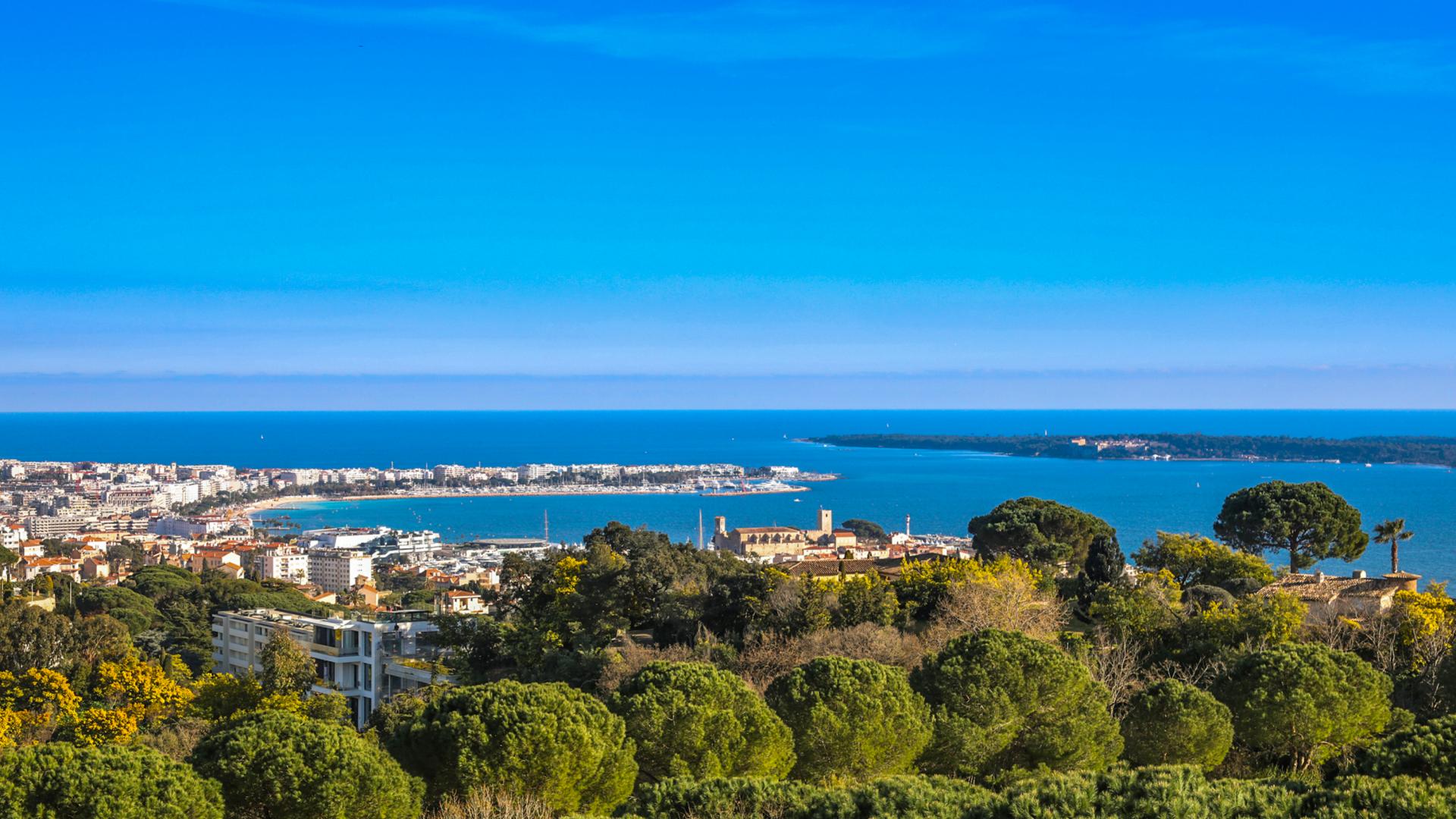 ALEX LUTZ – “Sexe, Grog et Rocking Chair” (Cannes) | Cannes Tourism